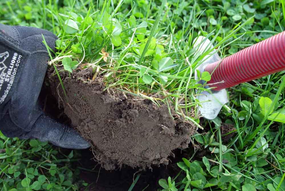 The Best Metal Detecting Digging Tools Of 2022 (Updated)