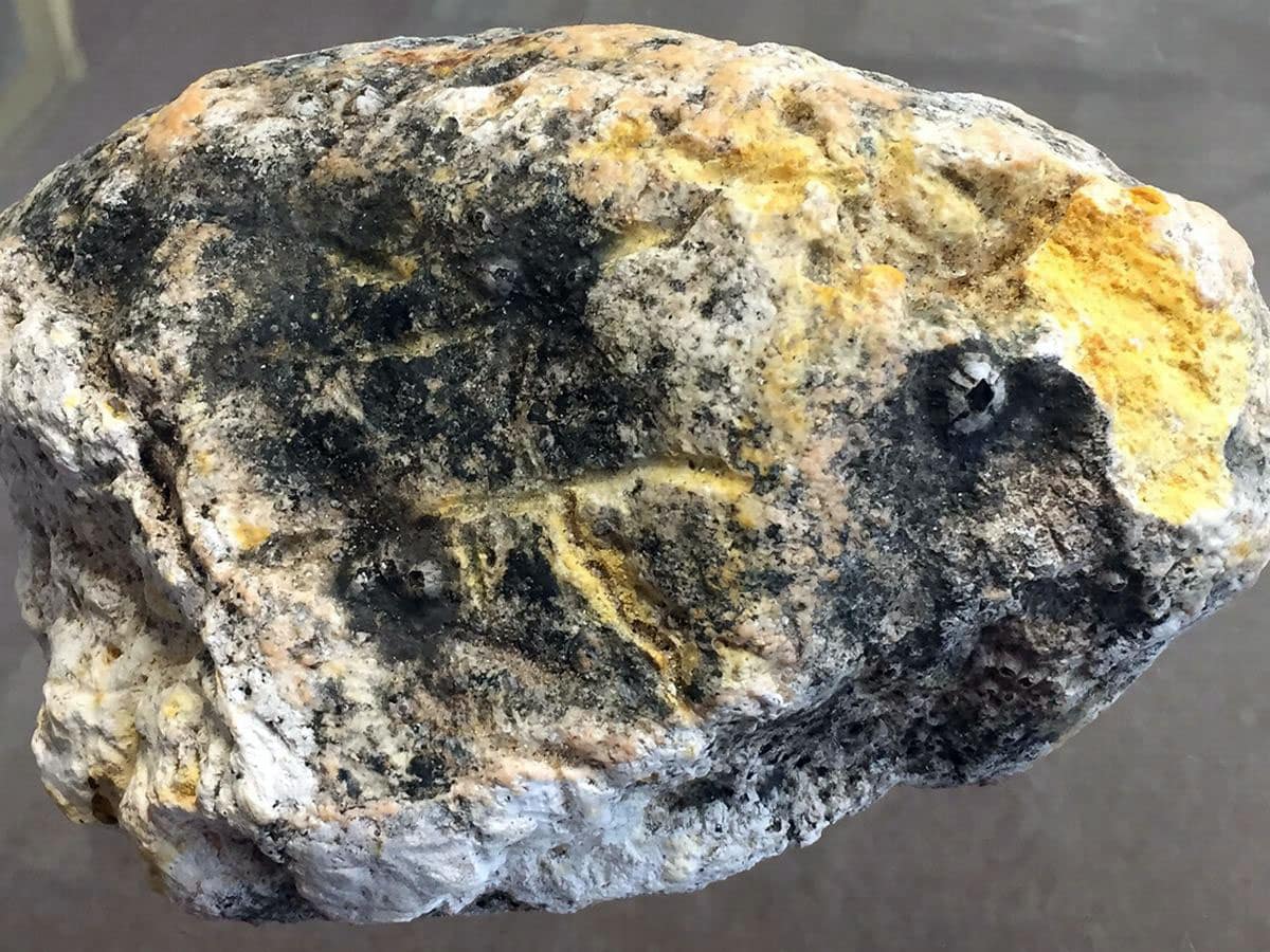 7 Simple Tips To Help You Find Ambergris